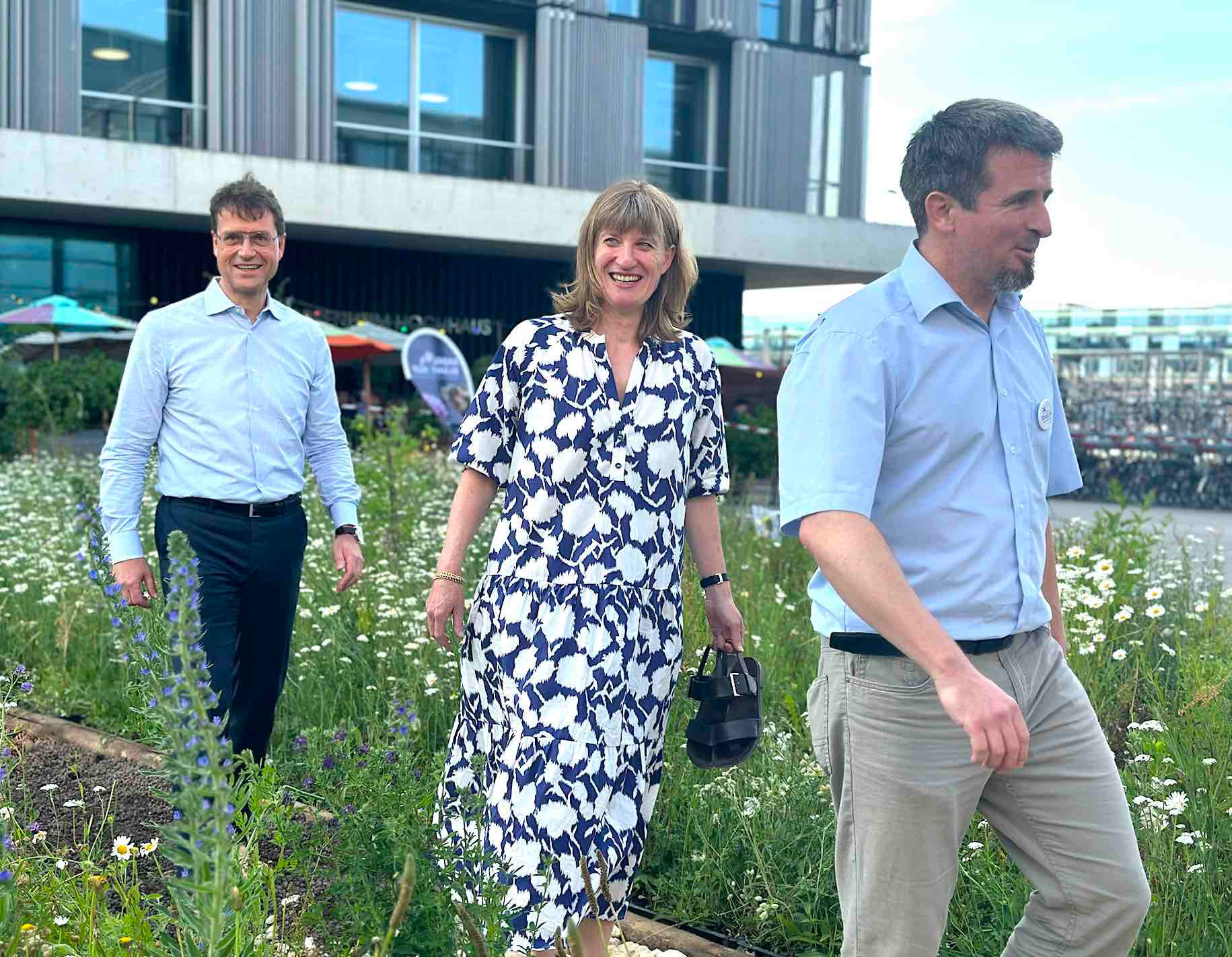 Naturwiese statt Asphalt: Meret-Oppenheim-Platz wundersam verwandelt ...