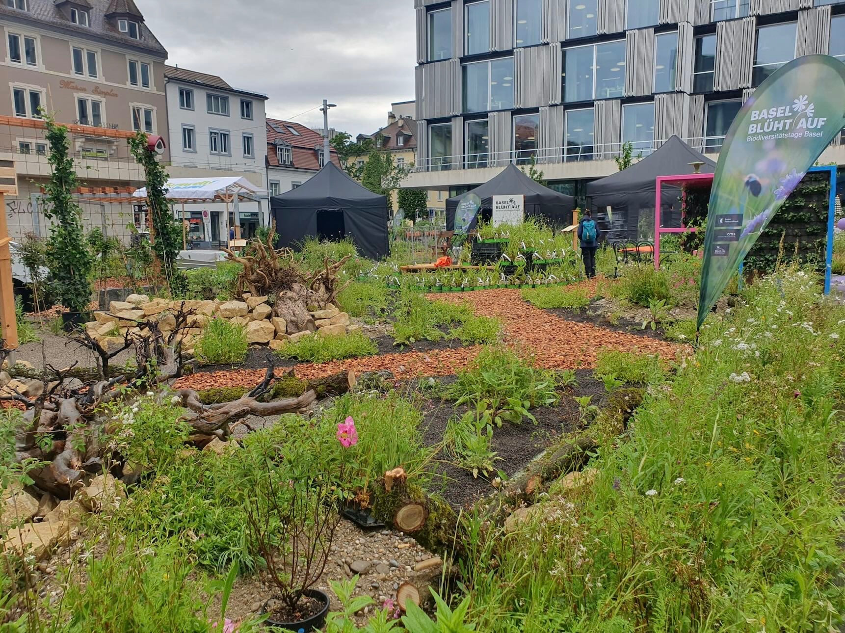 Der Meret Oppenheim-Platz als grüne Oase von Basel - Prime News
